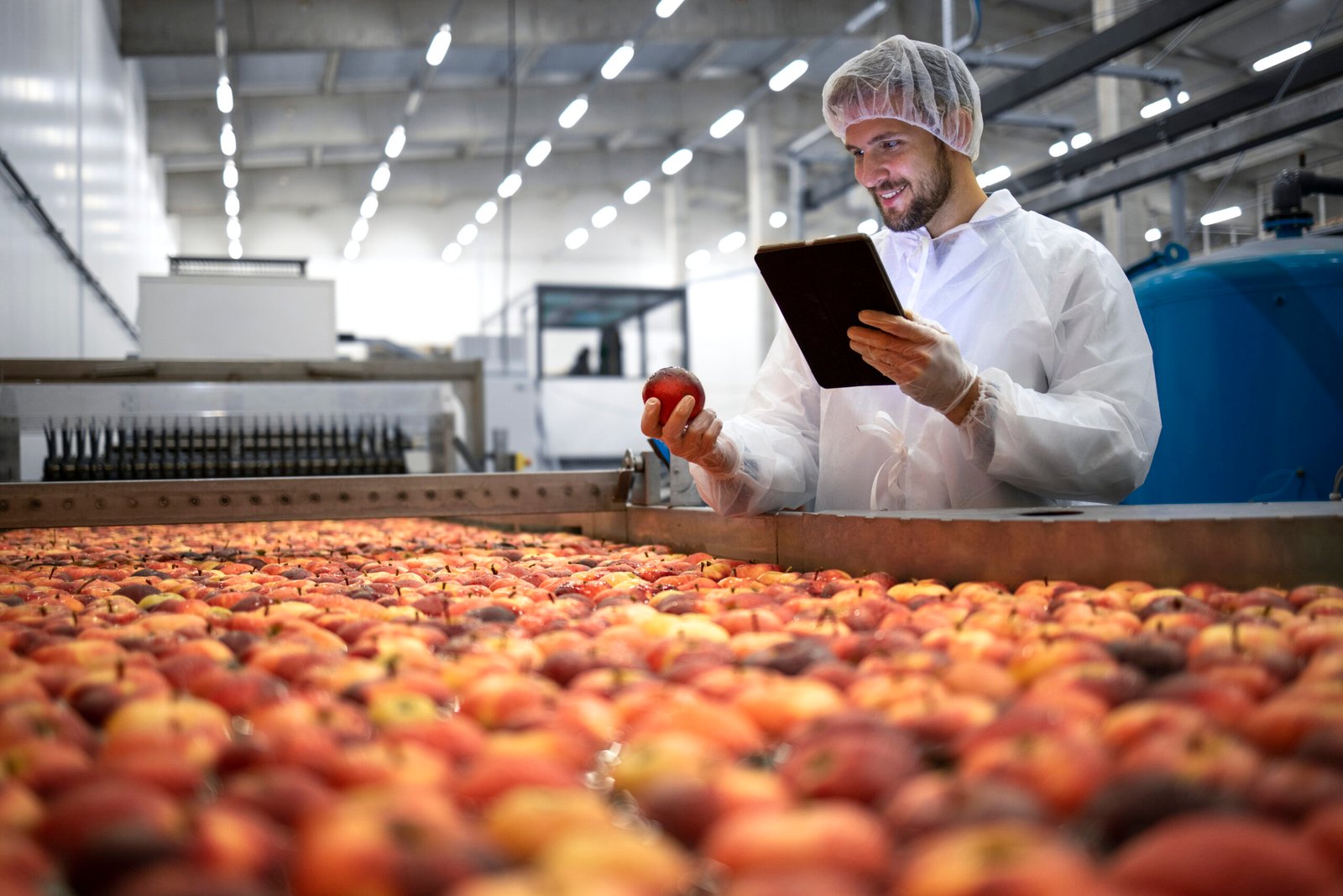 Food Safety Auditing – Litmus Food Analytics